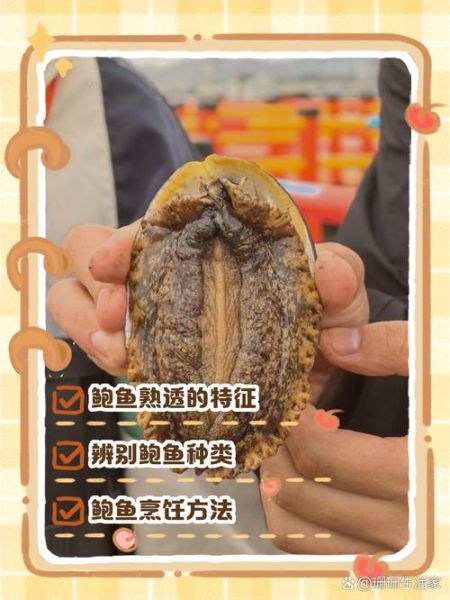 鲍鱼咬不动是太生还是太老_怎么判断-第3张图片-山城妙识