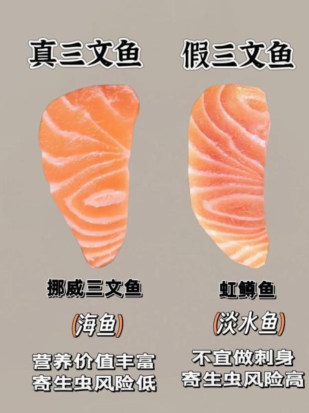 三文鱼的营养价值_吃三文鱼有哪些危害-第1张图片-山城妙识 三文鱼的营养价值_吃三文鱼有哪些危害-第1张图片-山城妙识