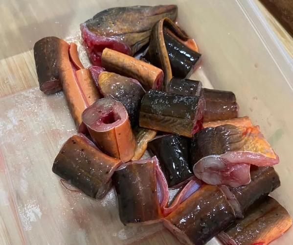 黄鳝怎么炖汤有营养_黄鳝汤怎么炖最补气血-第1张图片-山城妙识 黄鳝怎么炖汤有营养_黄鳝汤怎么炖最补气血-第1张图片-山城妙识