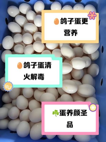 鸽子蛋营养价值比鸡蛋高吗_鸽子蛋和鸡蛋的区别-第2张图片-山城妙识 鸽子蛋营养价值比鸡蛋高吗_鸽子蛋和鸡蛋的区别-第2张图片-山城妙识