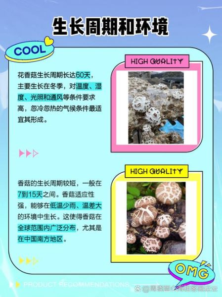 花菇和香菇哪个好_花菇和香菇的区别-第1张图片-山城妙识 花菇和香菇哪个好_花菇和香菇的区别-第1张图片-山城妙识