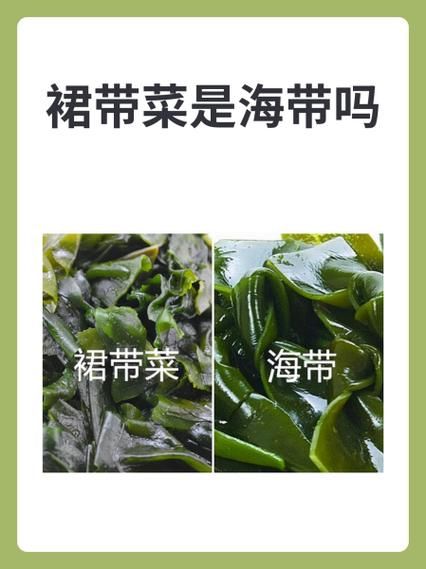裙带菜和海带的区别_哪个营养更高-第1张图片-山城妙识