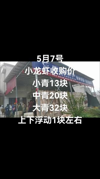 今日龙虾价格多少钱一斤_2024龙虾行情最新走势-第1张图片-山城妙识 今日龙虾价格多少钱一斤_2024龙虾行情最新走势-第1张图片-山城妙识