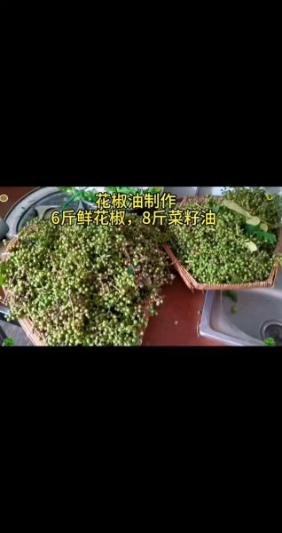 花椒油怎么做_花椒油的做法比例是多少-第1张图片-山城妙识 花椒油怎么做_花椒油的做法比例是多少-第1张图片-山城妙识