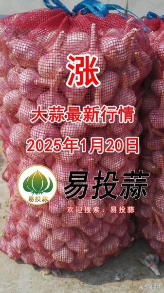 明年大蒜价格会涨吗_2025年大蒜行情预测-第2张图片-山城妙识 明年大蒜价格会涨吗_2025年大蒜行情预测-第2张图片-山城妙识