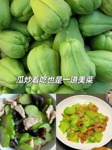 龙须菜是什么瓜的藤_龙须菜和佛手瓜关系-第3张图片-山城妙识