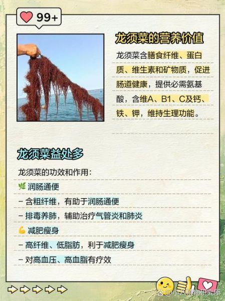 龙须菜是什么瓜的藤_龙须菜和佛手瓜关系-第2张图片-山城妙识