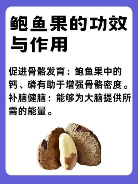 鲍鱼果的功效与作用_鲍鱼果的禁忌人群-第1张图片-山城妙识 鲍鱼果的功效与作用_鲍鱼果的禁忌人群-第1张图片-山城妙识