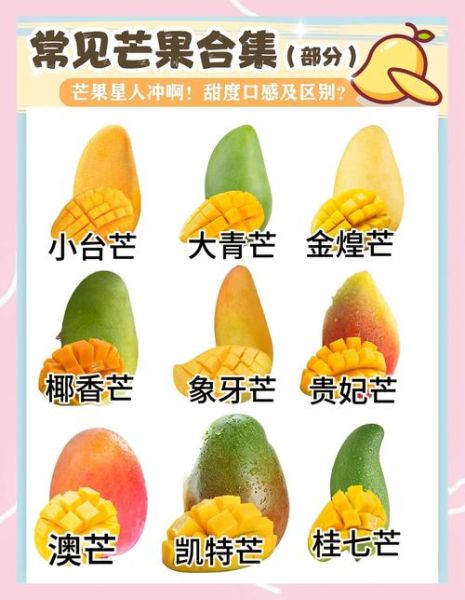 芒果一天吃多少合适_吃多了会怎样-第3张图片-山城妙识 芒果一天吃多少合适_吃多了会怎样-第3张图片-山城妙识