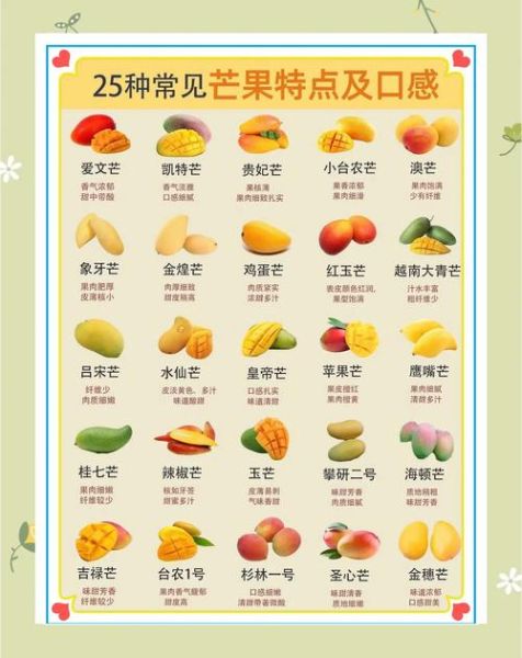 芒果一天吃多少合适_吃多了会怎样-第1张图片-山城妙识 芒果一天吃多少合适_吃多了会怎样-第1张图片-山城妙识