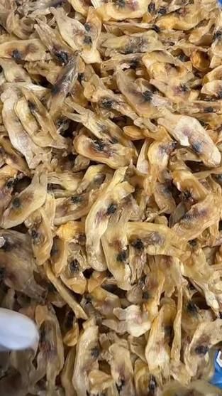 蛏子干怎么吃_里面要去掉什么-第2张图片-山城妙识 蛏子干怎么吃_里面要去掉什么-第2张图片-山城妙识