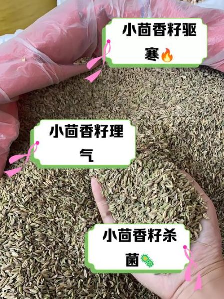 小茴香籽的功效与作用_怎么吃效果最好-第1张图片-山城妙识