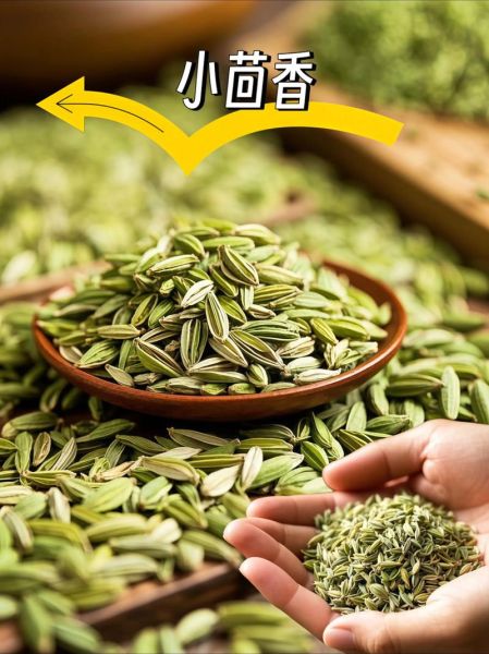 小茴香籽的功效与作用_怎么吃效果最好-第2张图片-山城妙识