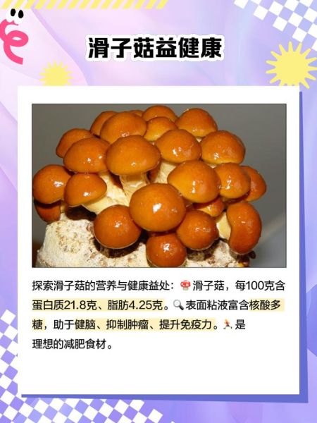 滑子蘑中毒症状_滑子蘑对孕妇的危害-第1张图片-山城妙识