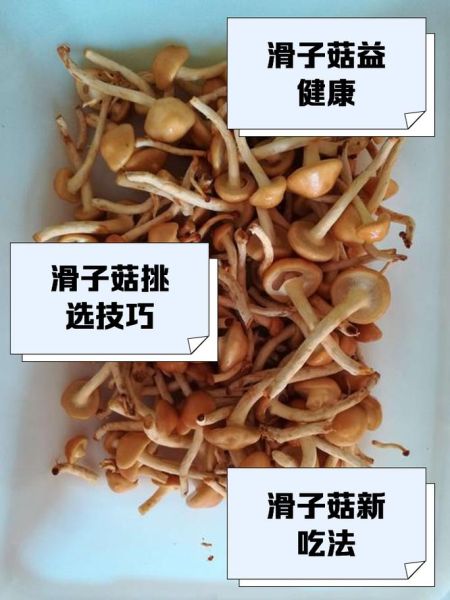 滑子蘑中毒症状_滑子蘑对孕妇的危害-第2张图片-山城妙识