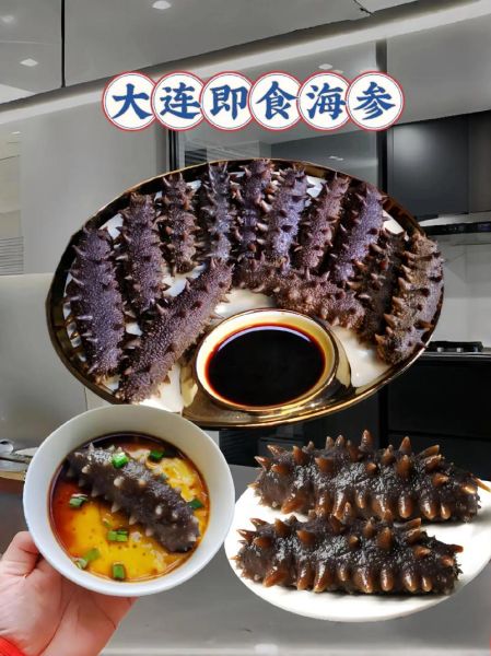 大连海参多少钱一斤_大连海参怎么选-第1张图片-山城妙识
