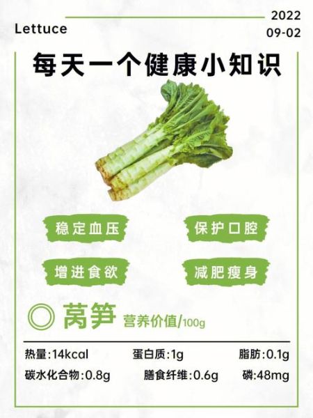 莴苣的营养价值_莴苣热量高吗-第1张图片-山城妙识 莴苣的营养价值_莴苣热量高吗-第1张图片-山城妙识
