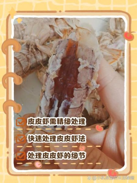 皮皮虾怎么做好吃_皮皮虾清洗方法-第1张图片-山城妙识