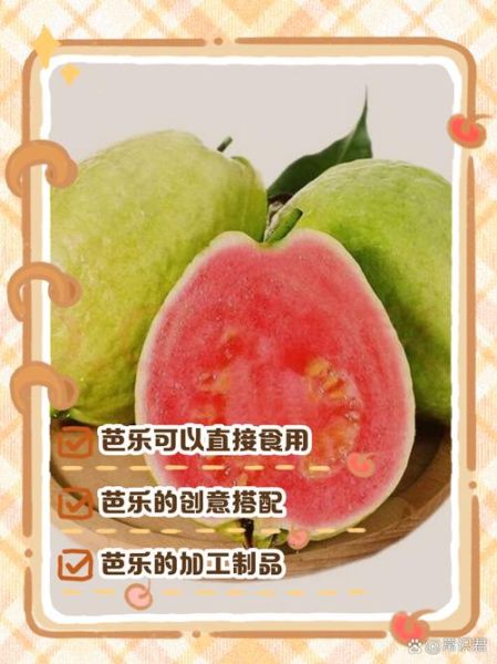 芭乐怎么吃_芭乐的正确吃法大全-第2张图片-山城妙识