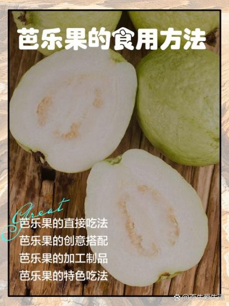 芭乐怎么吃_芭乐的正确吃法大全-第1张图片-山城妙识