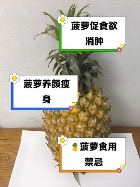 菠萝汁和什么一起打汁好喝_菠萝汁搭配禁忌-第3张图片-山城妙识