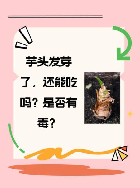 芋头发芽了还能不能吃_吃了会中毒吗-第1张图片-山城妙识 芋头发芽了还能不能吃_吃了会中毒吗-第1张图片-山城妙识