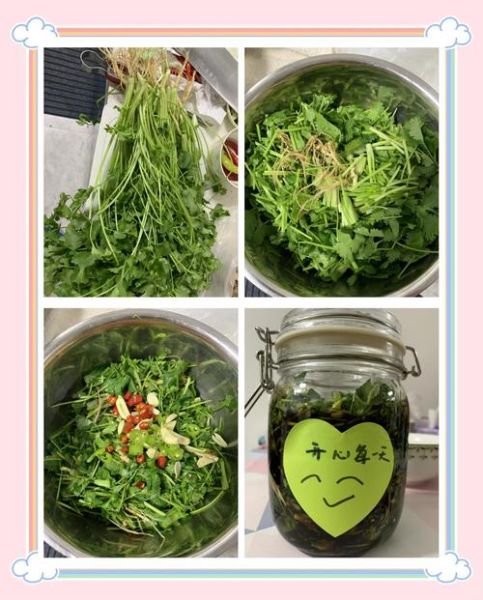 香菜咸菜怎么腌制_香菜咸菜腌制方法-第3张图片-山城妙识