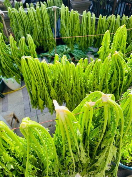 雪里蕻菜长什么样子_如何辨别新鲜雪里蕻-第1张图片-山城妙识