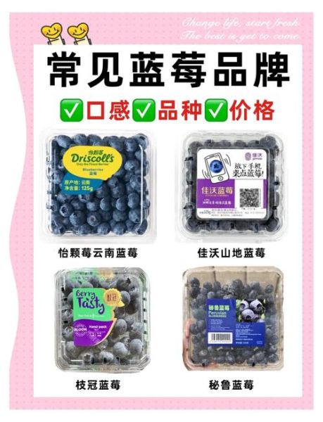 蓝莓怎么挑选_蓝莓图片怎么辨别好坏-第3张图片-山城妙识 蓝莓怎么挑选_蓝莓图片怎么辨别好坏-第3张图片-山城妙识