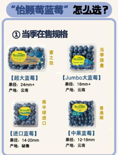 蓝莓怎么挑选_蓝莓图片怎么辨别好坏-第1张图片-山城妙识 蓝莓怎么挑选_蓝莓图片怎么辨别好坏-第1张图片-山城妙识