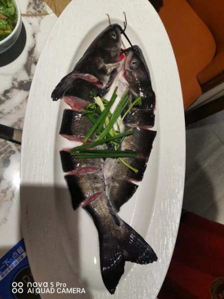 乌江鱼刺多吗_乌江鱼适合老人小孩吃吗-第1张图片-山城妙识 乌江鱼刺多吗_乌江鱼适合老人小孩吃吗-第1张图片-山城妙识