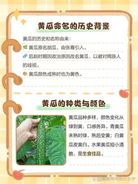 黄瓜为什么叫黄瓜_黄瓜名称由来-第1张图片-山城妙识 黄瓜为什么叫黄瓜_黄瓜名称由来-第1张图片-山城妙识