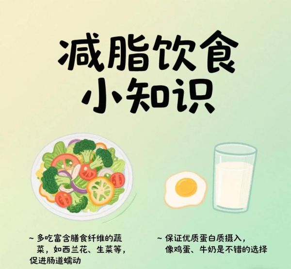 饮食减肥最快的秘诀_怎么控制热量缺口-第2张图片-山城妙识 饮食减肥最快的秘诀_怎么控制热量缺口-第2张图片-山城妙识