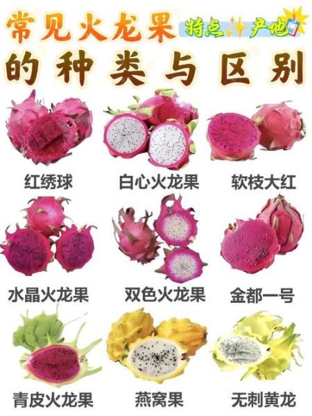 火龙果怎么挑选_火龙果热量高吗-第2张图片-山城妙识