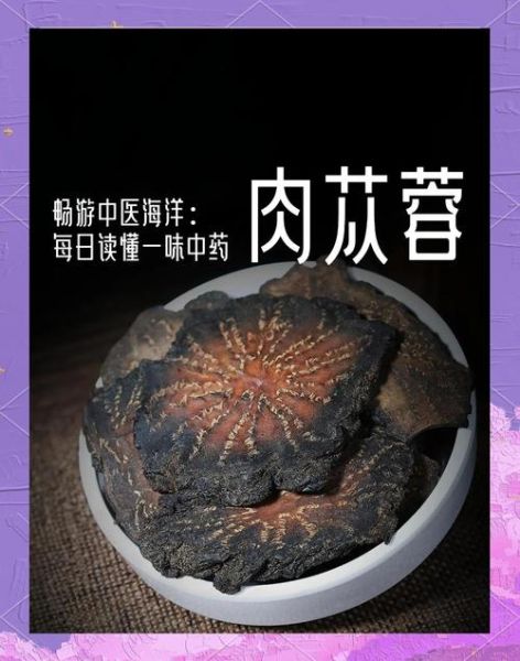 肉苁蓉多少钱一斤_野生与种植价格差多少-第2张图片-山城妙识 肉苁蓉多少钱一斤_野生与种植价格差多少-第2张图片-山城妙识