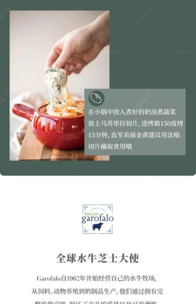 mozzarella奶酪怎么保存_mozzarella奶酪能冷冻吗-第2张图片-山城妙识