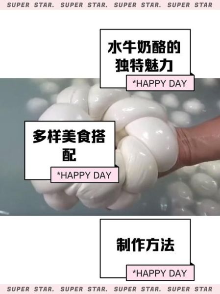 mozzarella奶酪怎么保存_mozzarella奶酪能冷冻吗-第3张图片-山城妙识