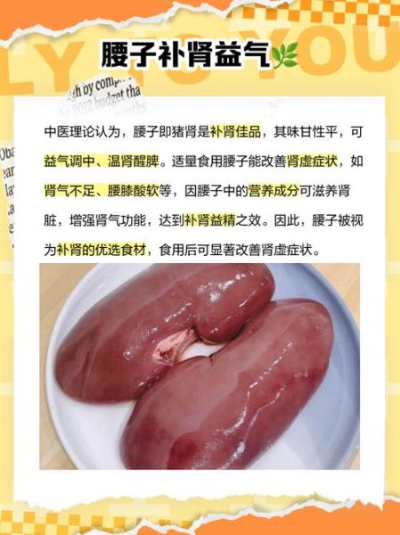 猪腰子补肾壮阳吗_猪腰子吃多了有什么危害-第3张图片-山城妙识