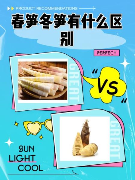春笋和冬笋的区别_毛笋和竹笋哪个更嫩-第1张图片-山城妙识 春笋和冬笋的区别_毛笋和竹笋哪个更嫩-第1张图片-山城妙识
