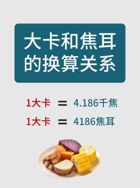 千卡等于多少千焦_卡路里换算千焦公式-第3张图片-山城妙识