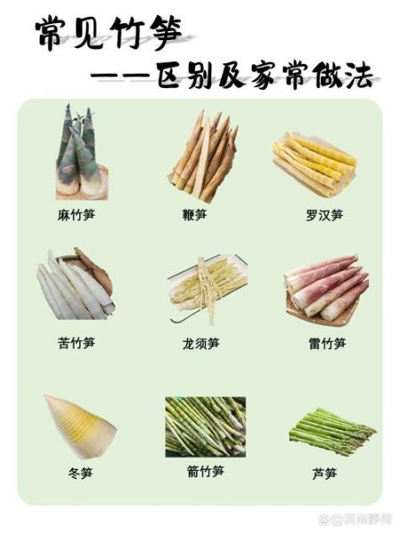 春笋和冬笋的区别_毛笋和竹笋哪个更嫩-第2张图片-山城妙识 春笋和冬笋的区别_毛笋和竹笋哪个更嫩-第2张图片-山城妙识
