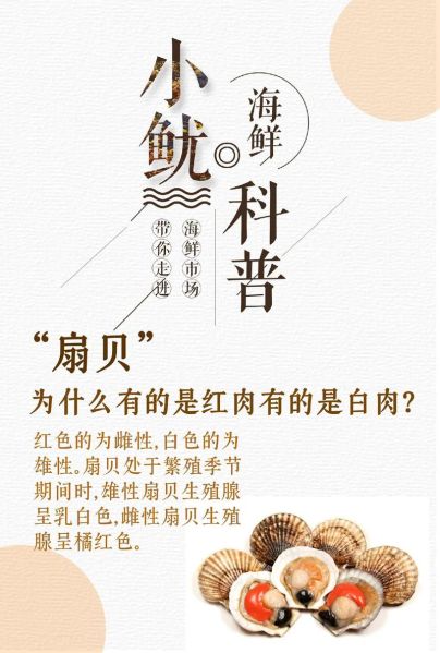 扇贝的营养价值_扇贝的功效与作用-第1张图片-山城妙识 扇贝的营养价值_扇贝的功效与作用-第1张图片-山城妙识