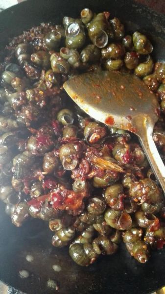 食用蜗牛怎么做好吃_食用蜗牛的营养价值-第2张图片-山城妙识 食用蜗牛怎么做好吃_食用蜗牛的营养价值-第2张图片-山城妙识