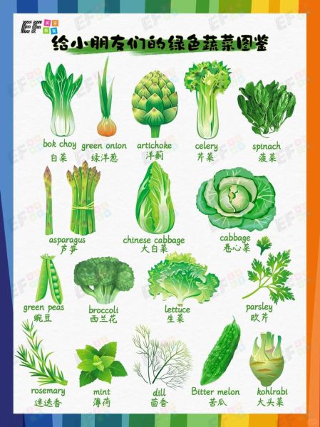 蔬菜种类100种图片大全_哪些蔬菜适合新手种植-第2张图片-山城妙识 蔬菜种类100种图片大全_哪些蔬菜适合新手种植-第2张图片-山城妙识