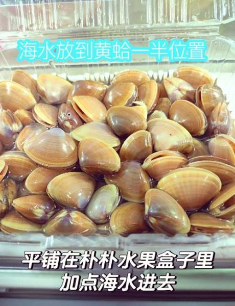 蛤蟆吐蜜的馅料是什么_正宗做法揭秘-第3张图片-山城妙识