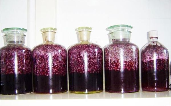 葡萄酒做法自酿全过程_自酿葡萄酒需要哪些材料-第1张图片-山城妙识 葡萄酒做法自酿全过程_自酿葡萄酒需要哪些材料-第1张图片-山城妙识