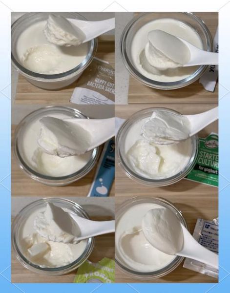 酸奶发酵剂哪个牌子好_家用酸奶菌粉怎么选-第3张图片-山城妙识 酸奶发酵剂哪个牌子好_家用酸奶菌粉怎么选-第3张图片-山城妙识