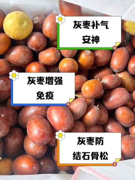 灰枣的功效与作用禁忌_哪些人不能吃-第1张图片-山城妙识