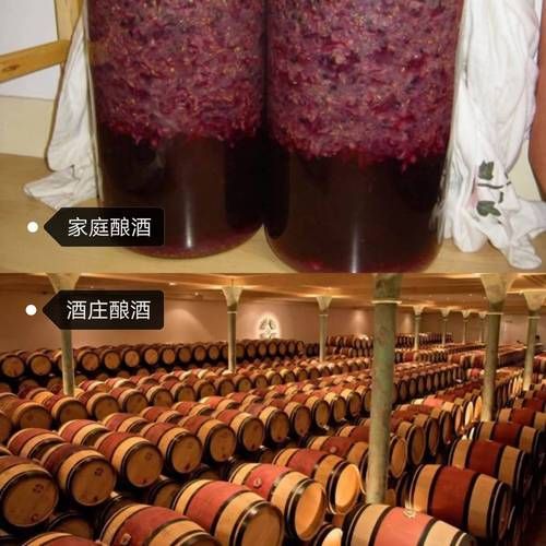 葡萄酒做法自酿全过程_自酿葡萄酒需要哪些材料-第2张图片-山城妙识 葡萄酒做法自酿全过程_自酿葡萄酒需要哪些材料-第2张图片-山城妙识