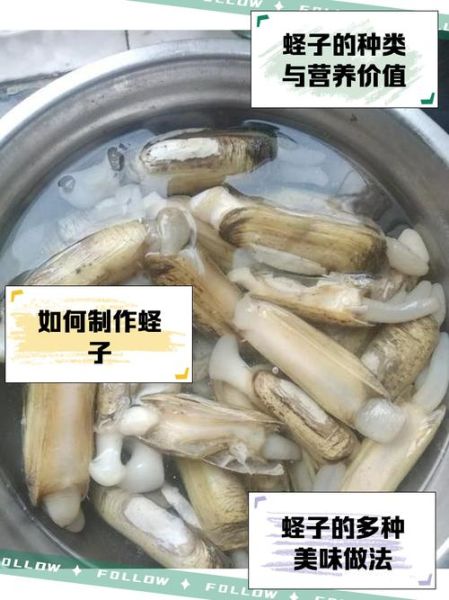 蛏子营养价值高吗_蛏子什么人不能吃-第3张图片-山城妙识 蛏子营养价值高吗_蛏子什么人不能吃-第3张图片-山城妙识